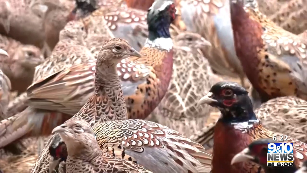 Hook & Hunting: Tails A Waggin Veterans and First Responders Hunt – 9 ...