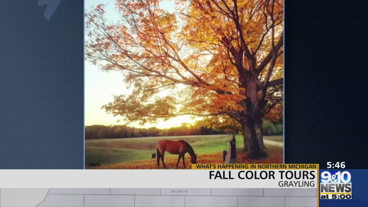 What’s Happening in Northern Michigan: Fall Color Tours – 9&10 News