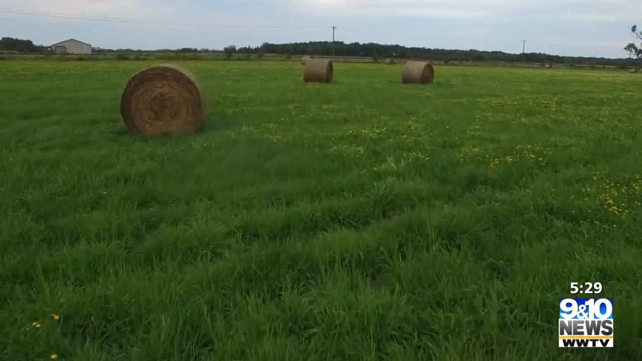 Northern Michigan From Above: Fields Filled With Hay Bales in Chippewa ...