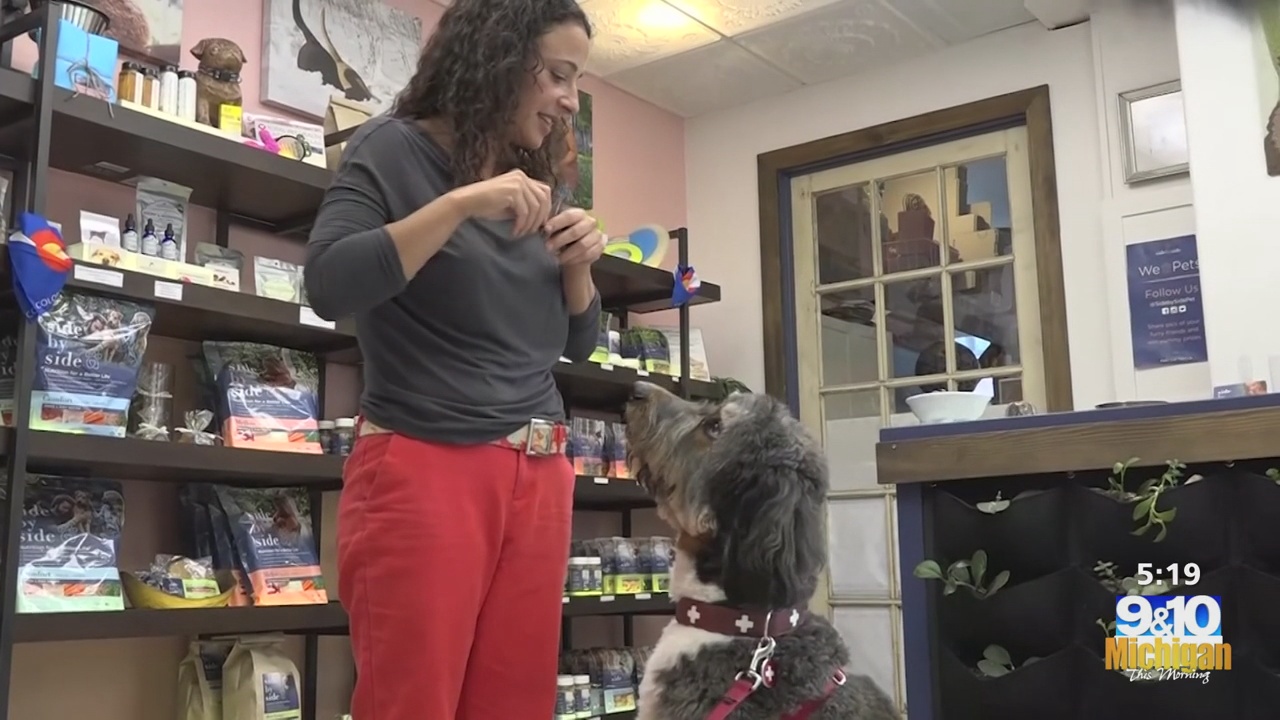 Healthy Living: Healthier Foods For Fido – 9&10 News