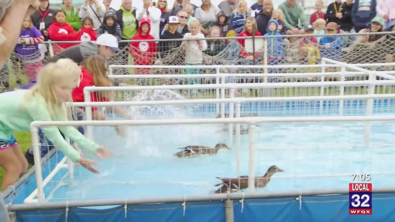 Great American Duck Races Let Volunteers Release Ducks – 9&10 News