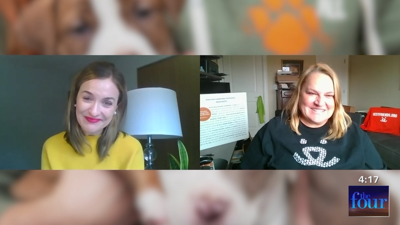 Best Friends Animal Society Talks Virtual Volunteering During Social ...