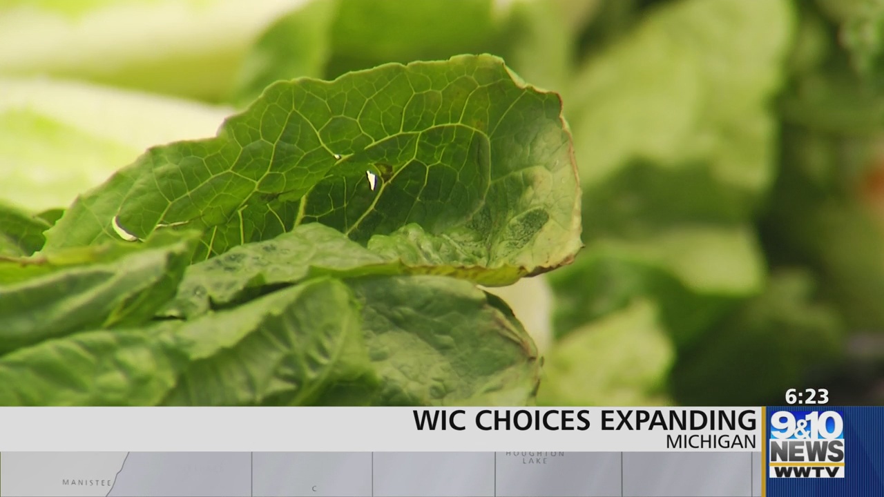 Michigan WIC Assistance Program Expanding Food Options – 9&10 News