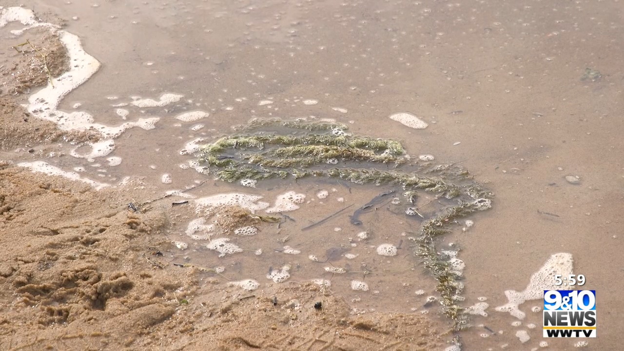Harmful Algal Blooms Found at North Bar Beach – 9&10 News