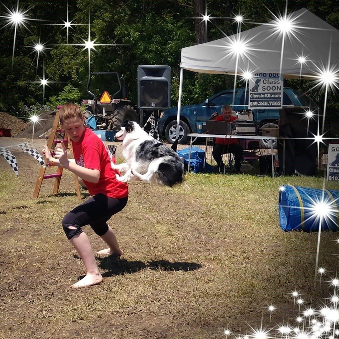 Michele’s Dog Training & Classic K9 Show Is Furry Fun – 9&10 News