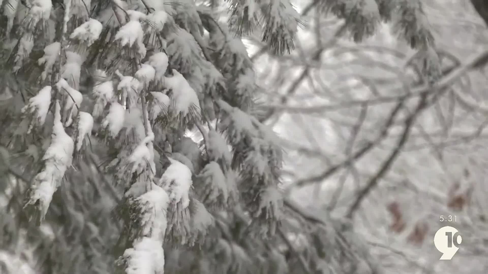 Sights and Sounds: Snowy Morning Commute Around Cadillac – 9&10 News