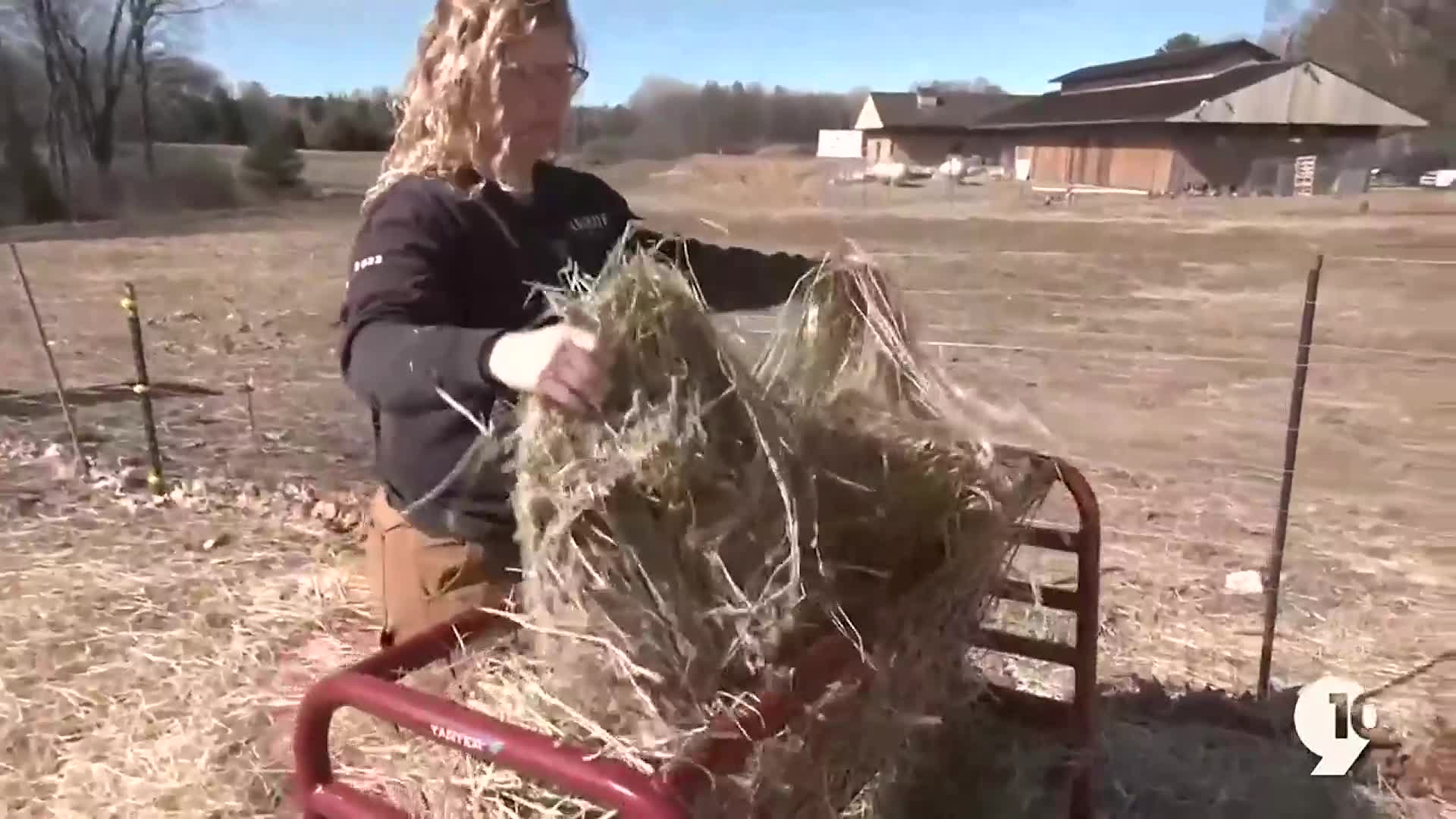 Growing, Eating and Educating with NanBop Farm: A day on the farm ...