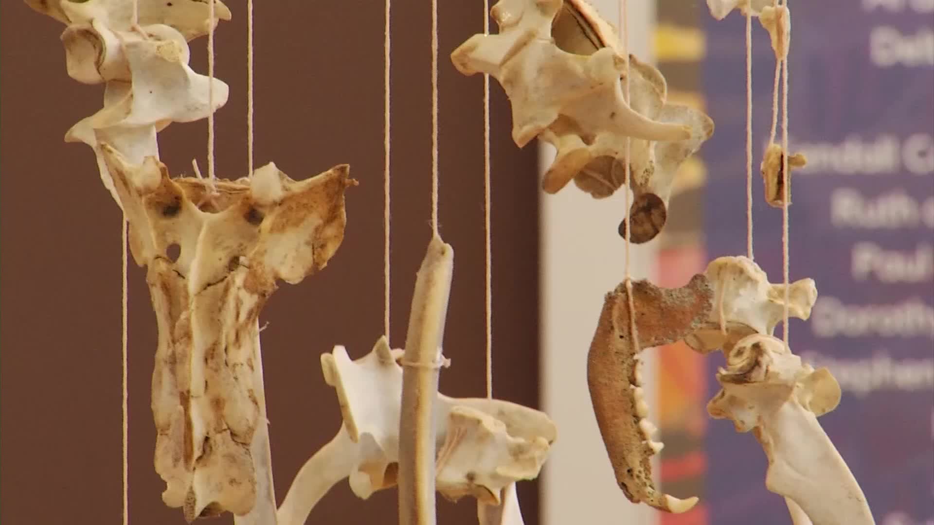 Crooked Tree Arts Center Hosts Youth Art Exhibit Awards – 910News.com