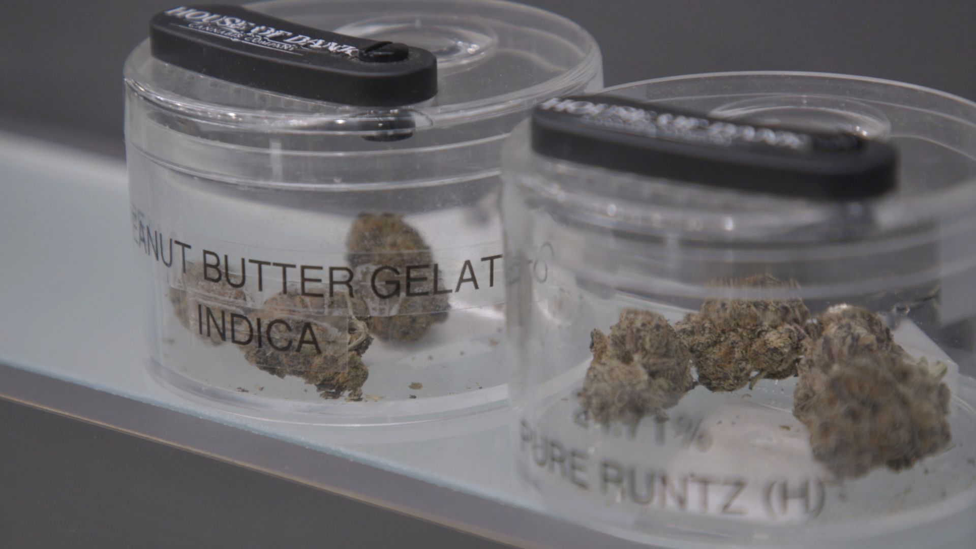 House of Dank Offers First Recreational Marijuana Sales in Traverse ...