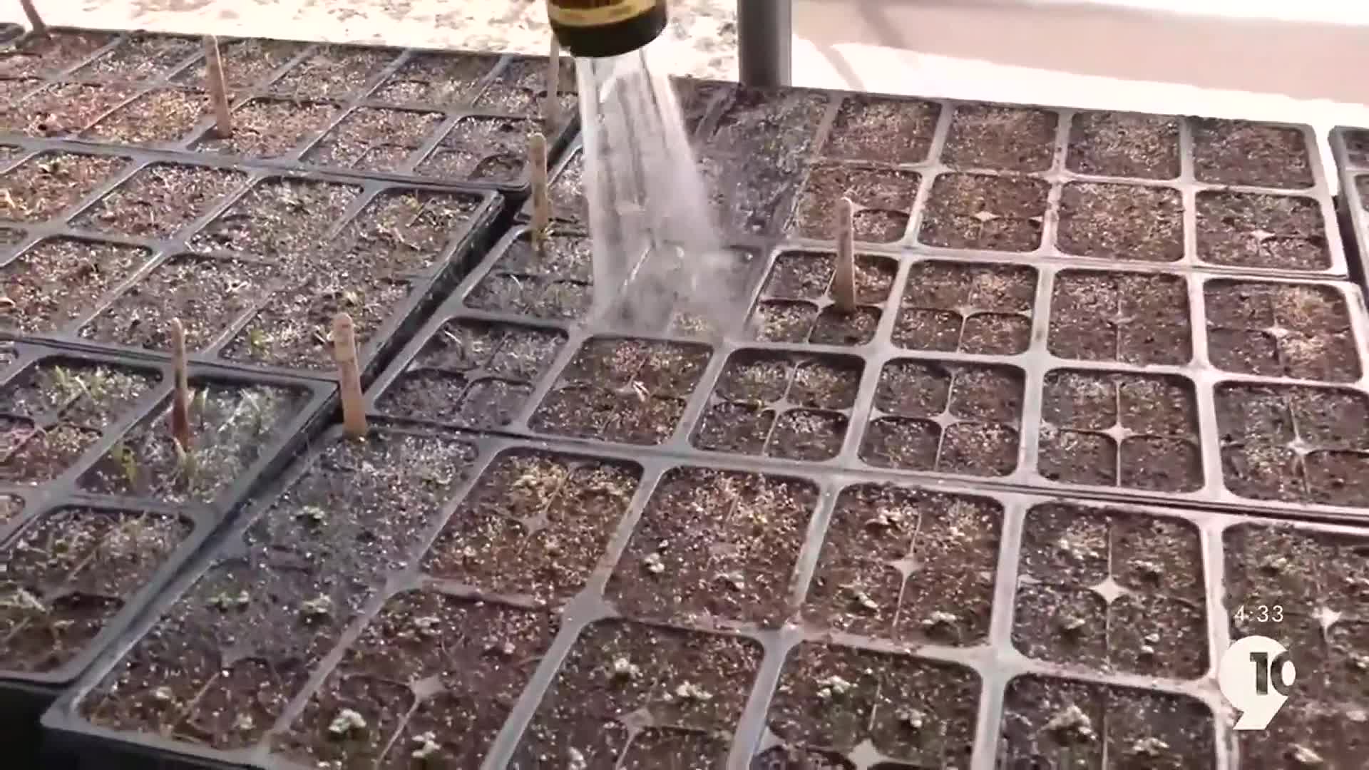 Growing, Eating, and Educating with NanBop Farm: Making Seed Benches ...