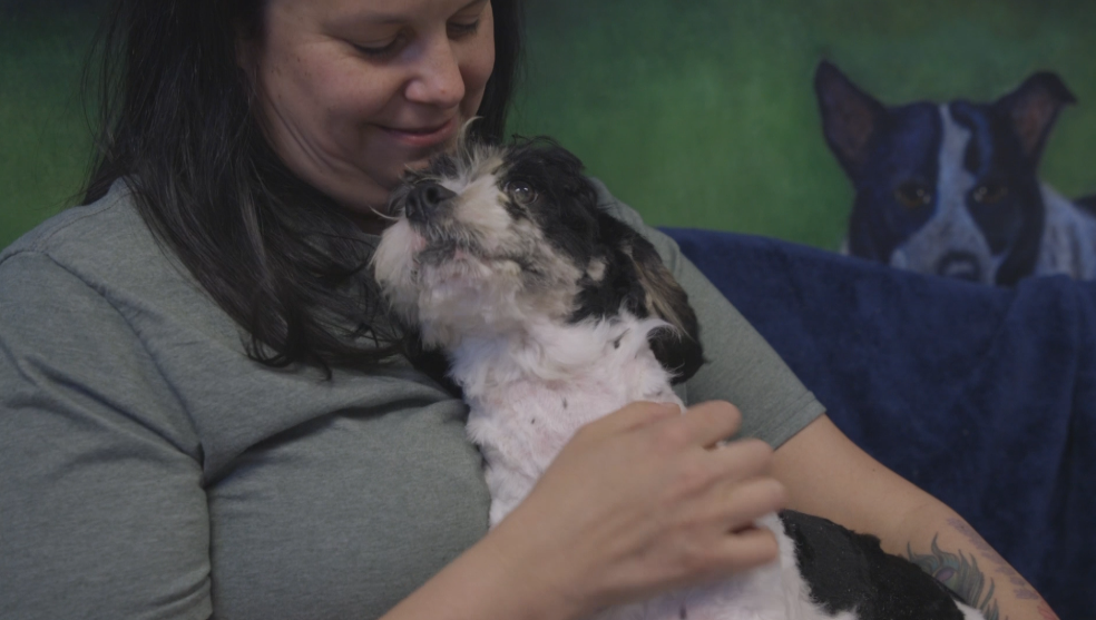 51 animals rescued from hoarding situation, Little Traverse Bay Humane ...