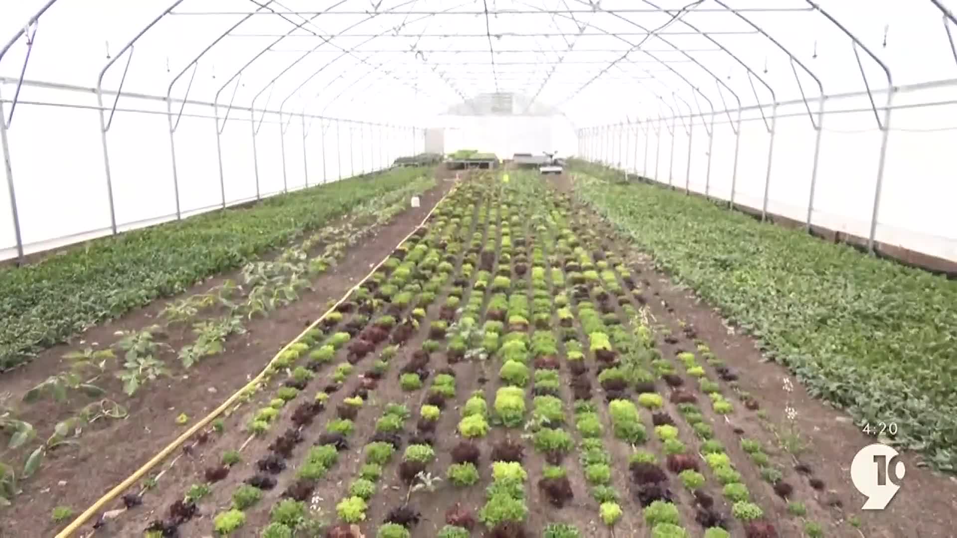 Efforts Lakeview Hill Farm & Market takes to ensure sustainable farming ...