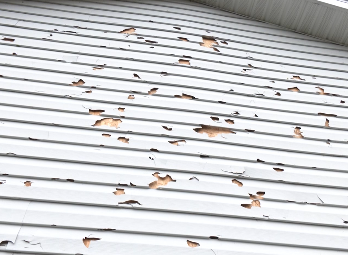 Onekama Township in recovery mode after golf-ball size hail hammers the ...