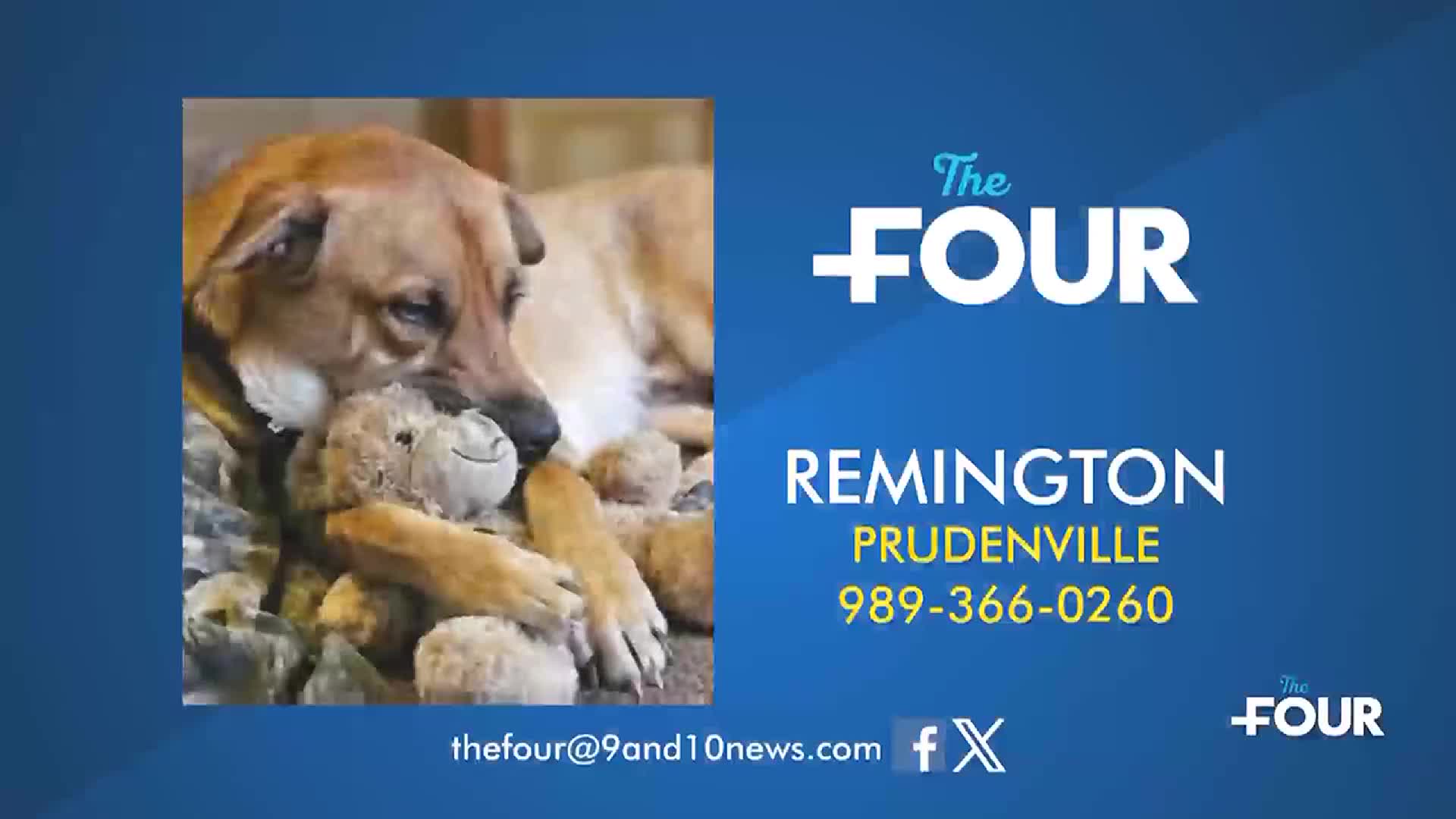 Help Remington find his way home – 9&10 News
