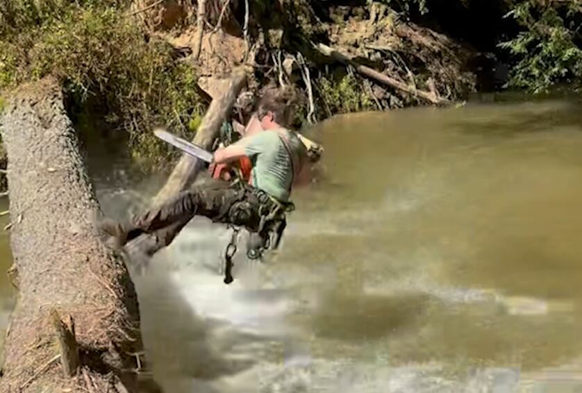Northern Michigan businesses use chainsaws to clear Pine River ...