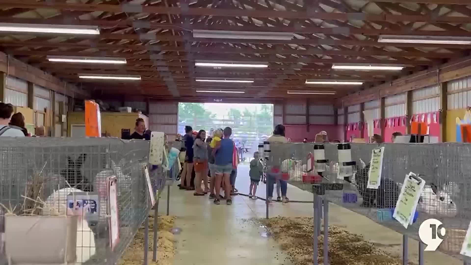 Marion Fair underway in Northern Michigan – 9and10News.com