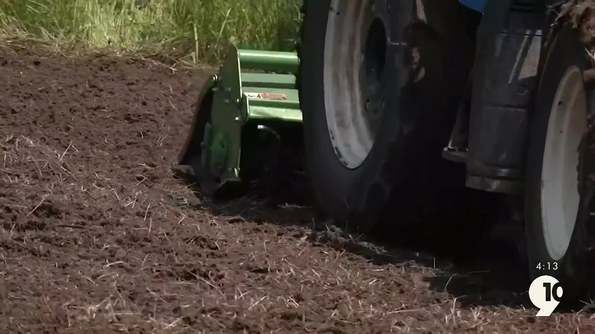 What’s Growing With Tom: Plotting for hunting season food plots – 9&10 News