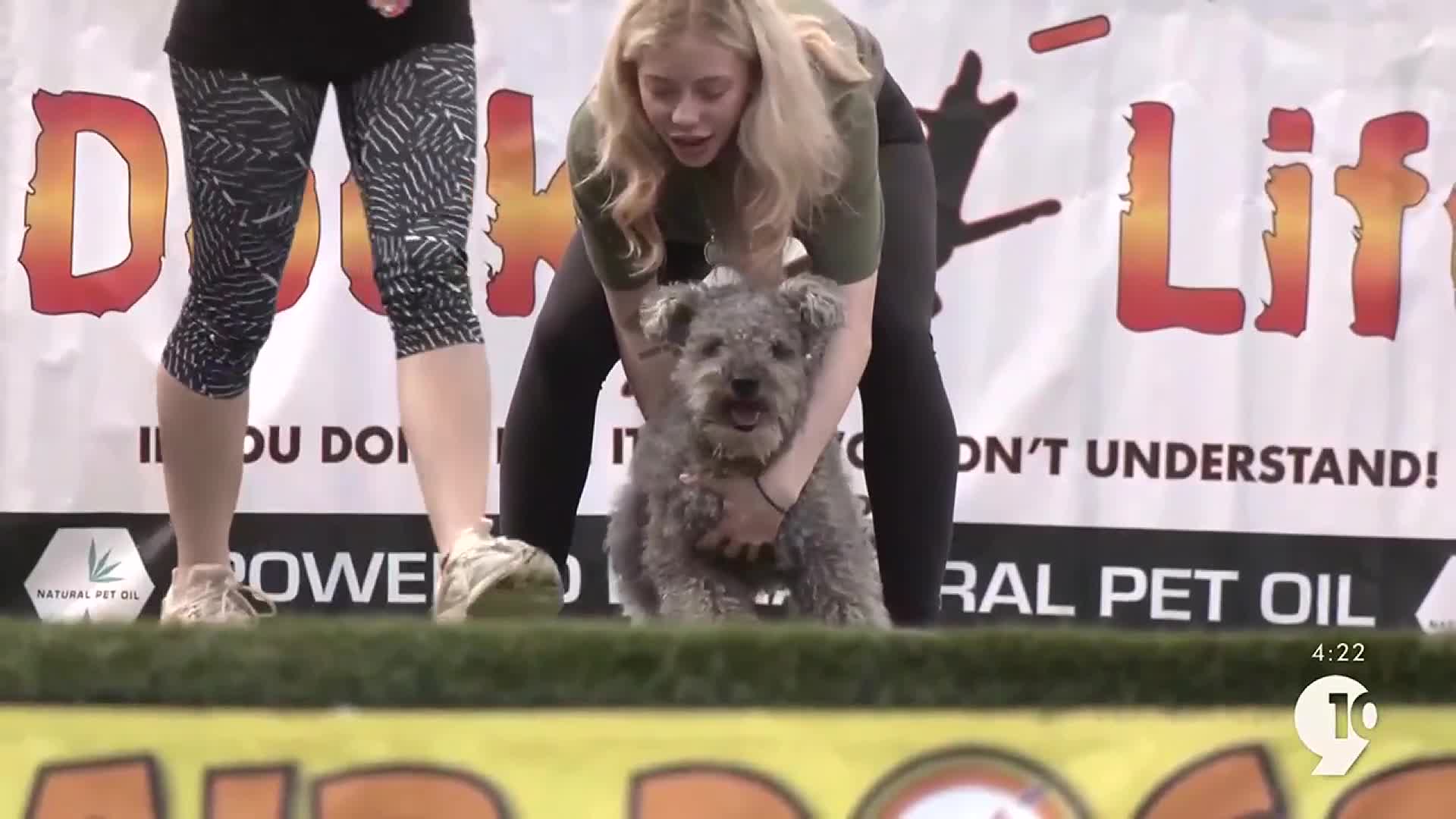 Former Tiger Milt Wilcox returns to the NCF with his Ultimate Air Dogs ...