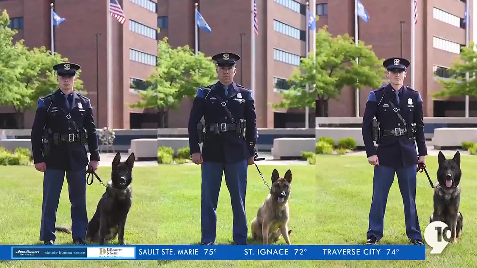 MSP adding new canines to posts throughout Northern Michigan ...