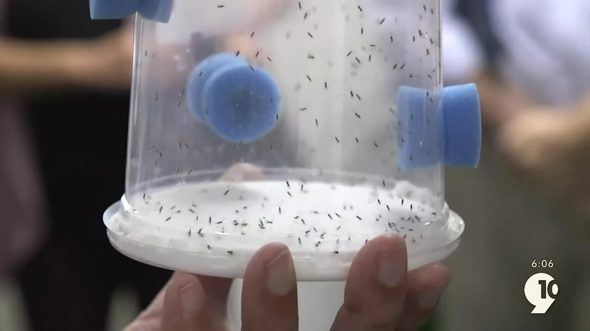 Sen. Gary Peters stops to discuss invasive insects during his ...