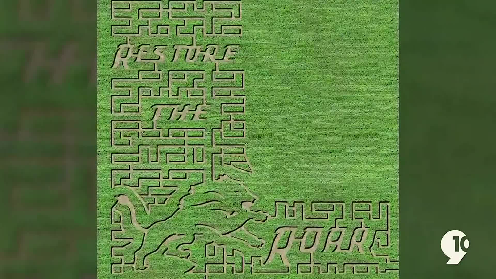 Lewis Adventure Farm & Zoo new corn maze themed after Detroit Lions – 9 ...