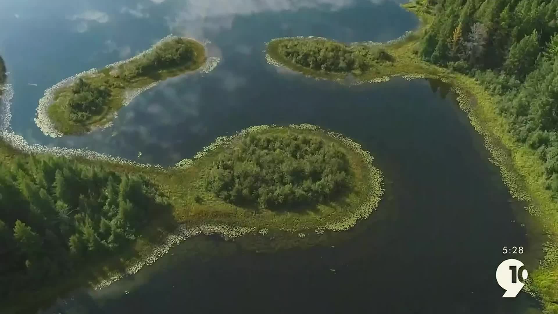 Northern Michigan From Above: Flying above Paradise Trophy Ranch near ...