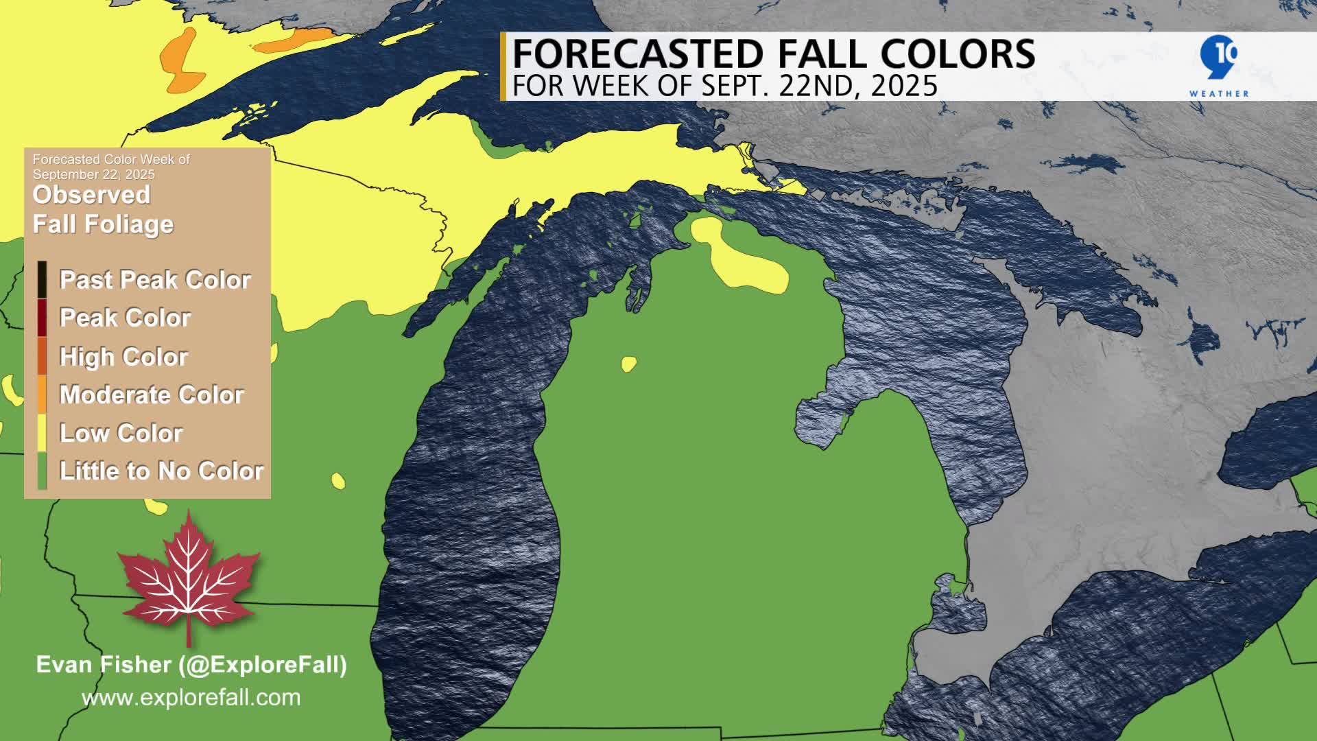 An update on fall leaf color changes – 910News.com
