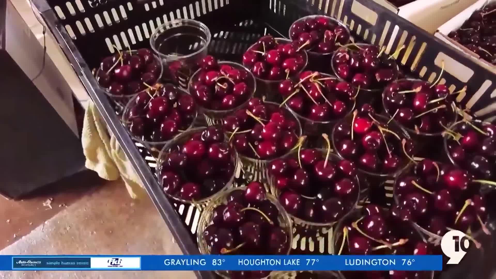 Northern Michigan cherry growers face challenges from weather and trade ...