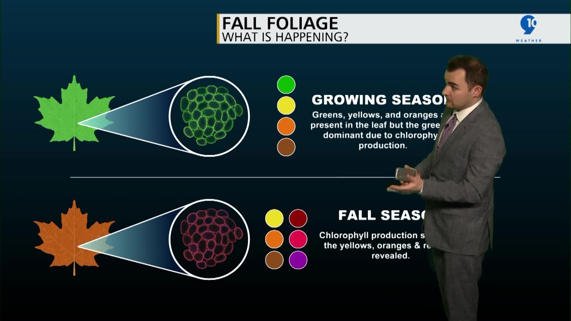 Capping Inversion, Fall Foliage – 9&10 News
