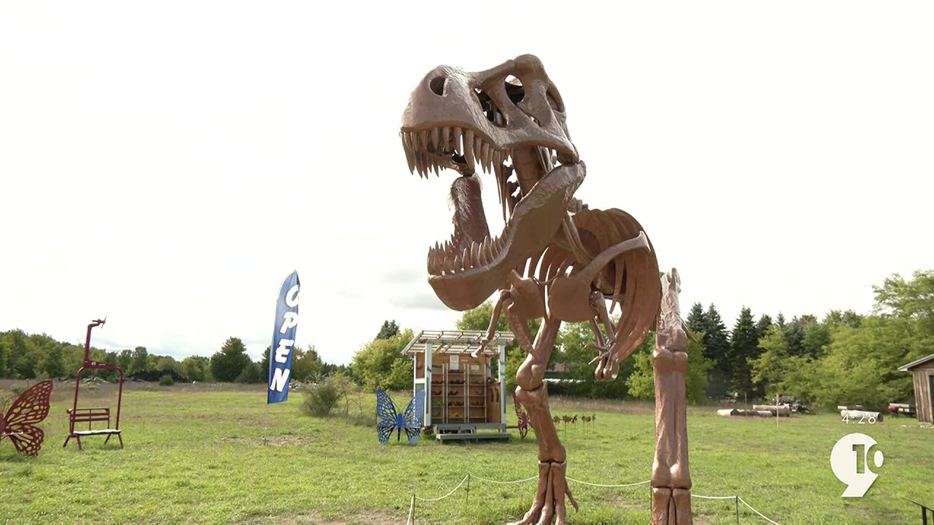 Learning the story behind Gilbert, a life-sized t-rex sculpture off M ...