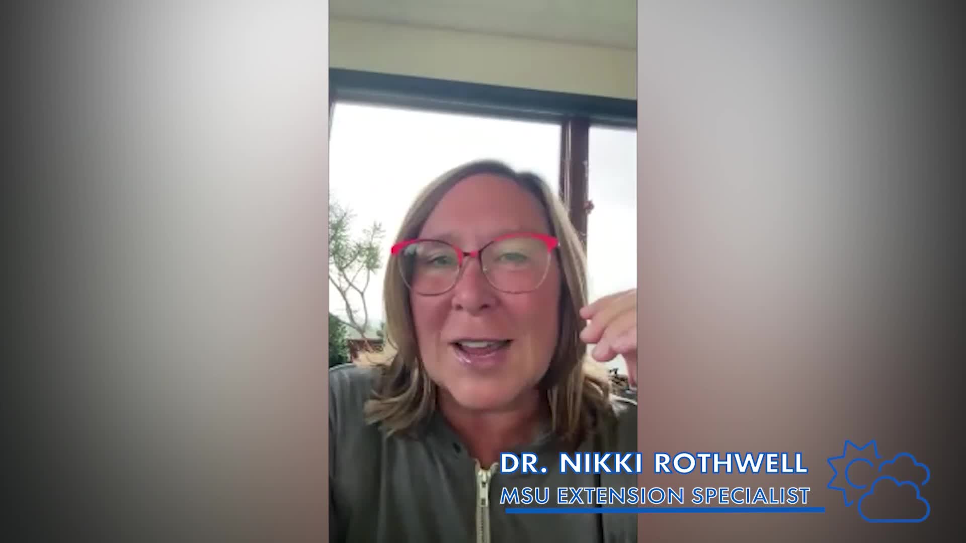Celebrating National Apple Day – 910News.com