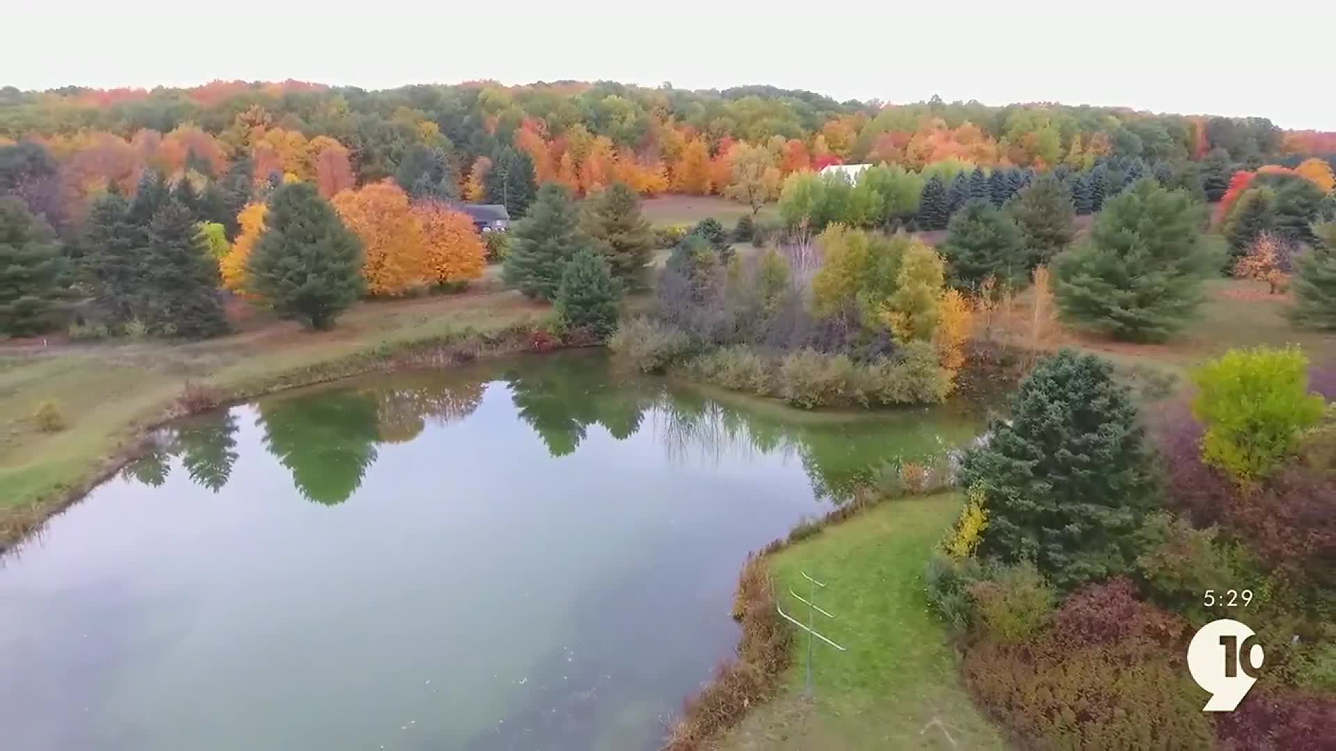Northern Michigan From Above: Checking out fall colors at Veronica ...