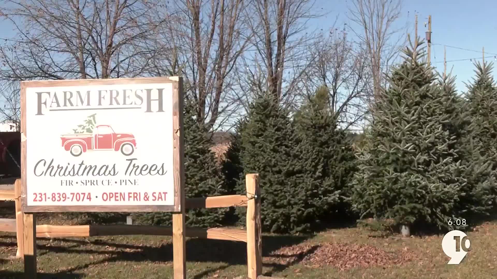 Learning more about Dutchman Tree Farms and what it takes to get a ...