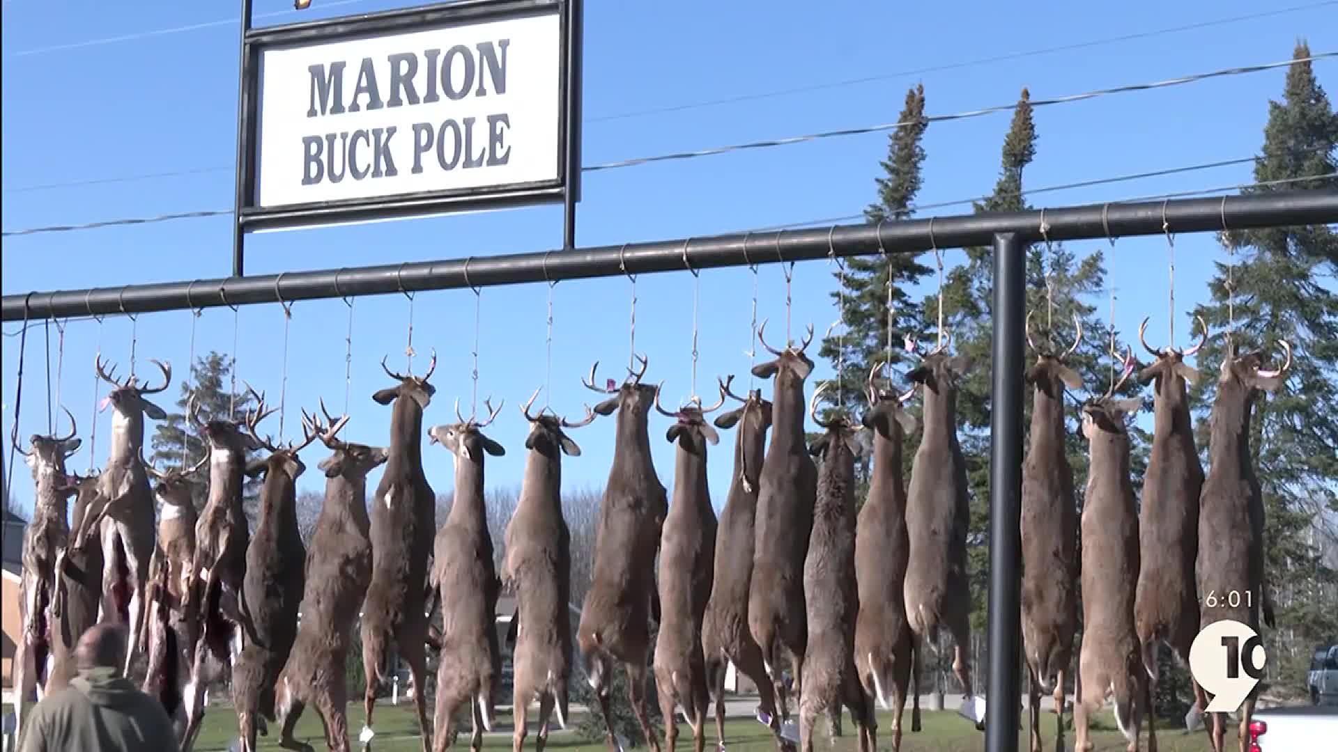 Marion hosts Annual Buck Pole, prizes to give away for biggest deer ...