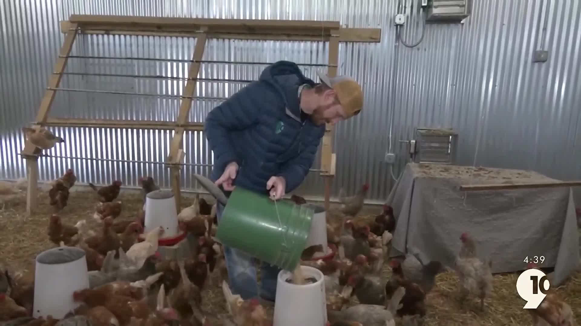 Growing, Eating and Educating with NanBop Farm: Eric and Michael ...