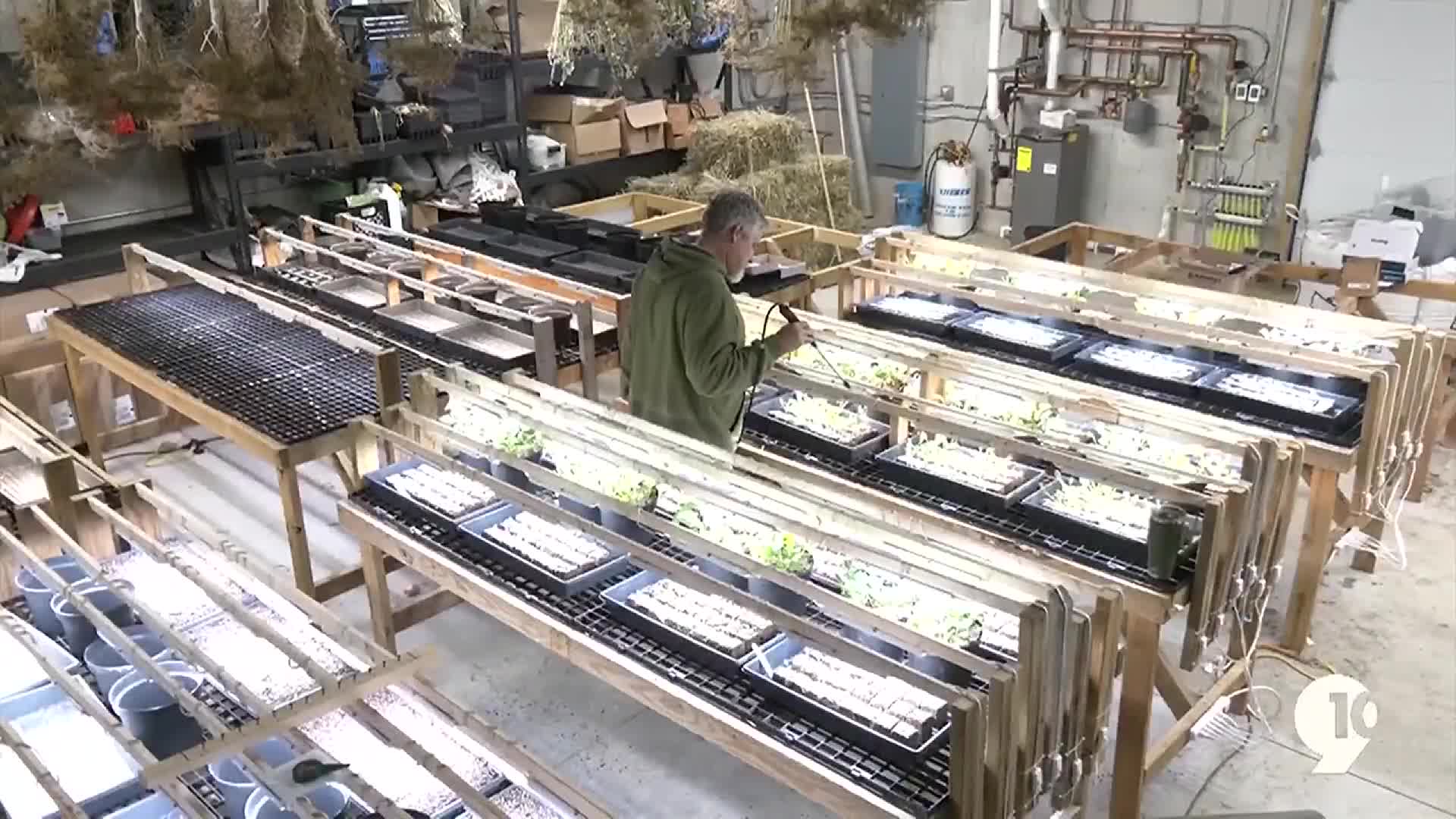 Growing, Eating and Educating with NanBop Farm: Winter on a farm ...